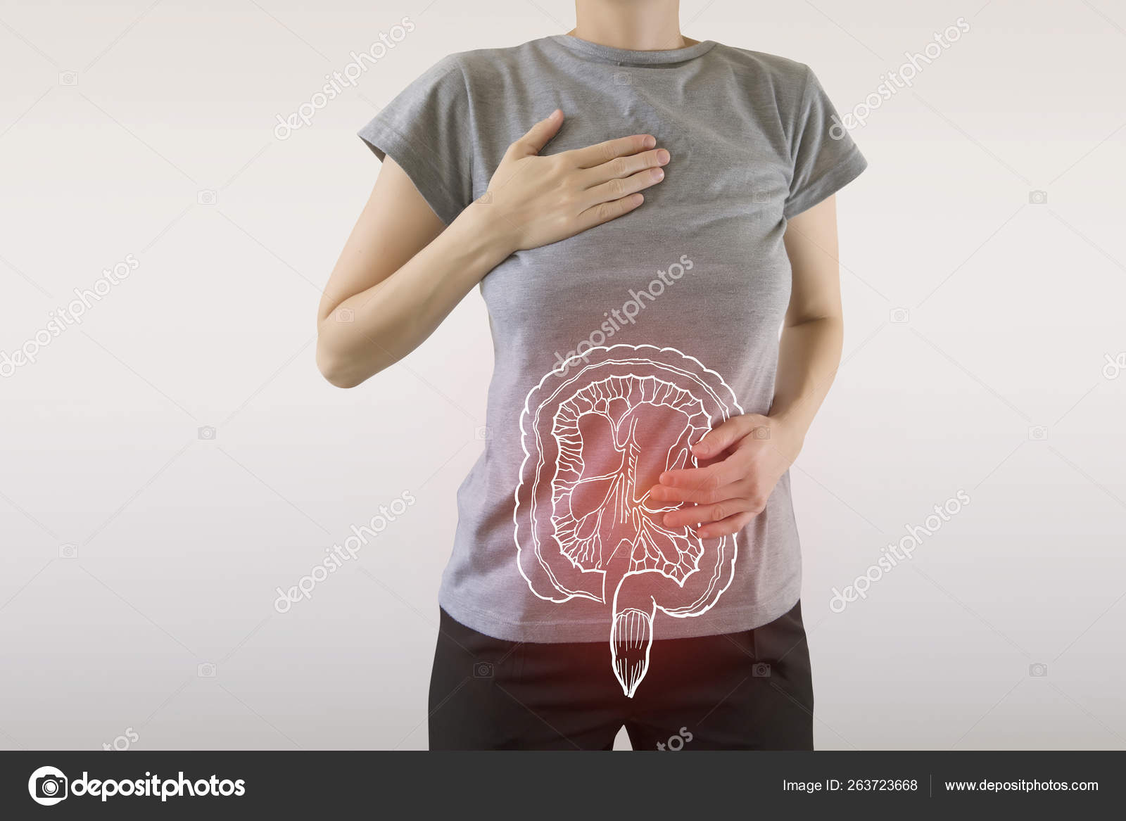 Digital composite of highlighted redinjured or infected intestine Stock ...