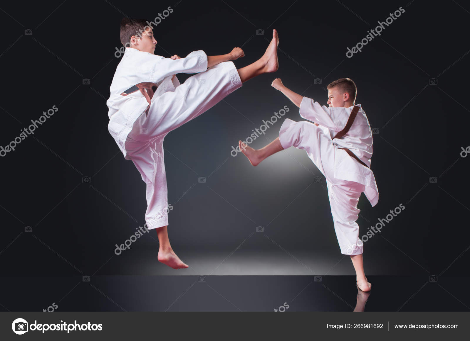 Handsome young male karate players doing kick on the gray background ...