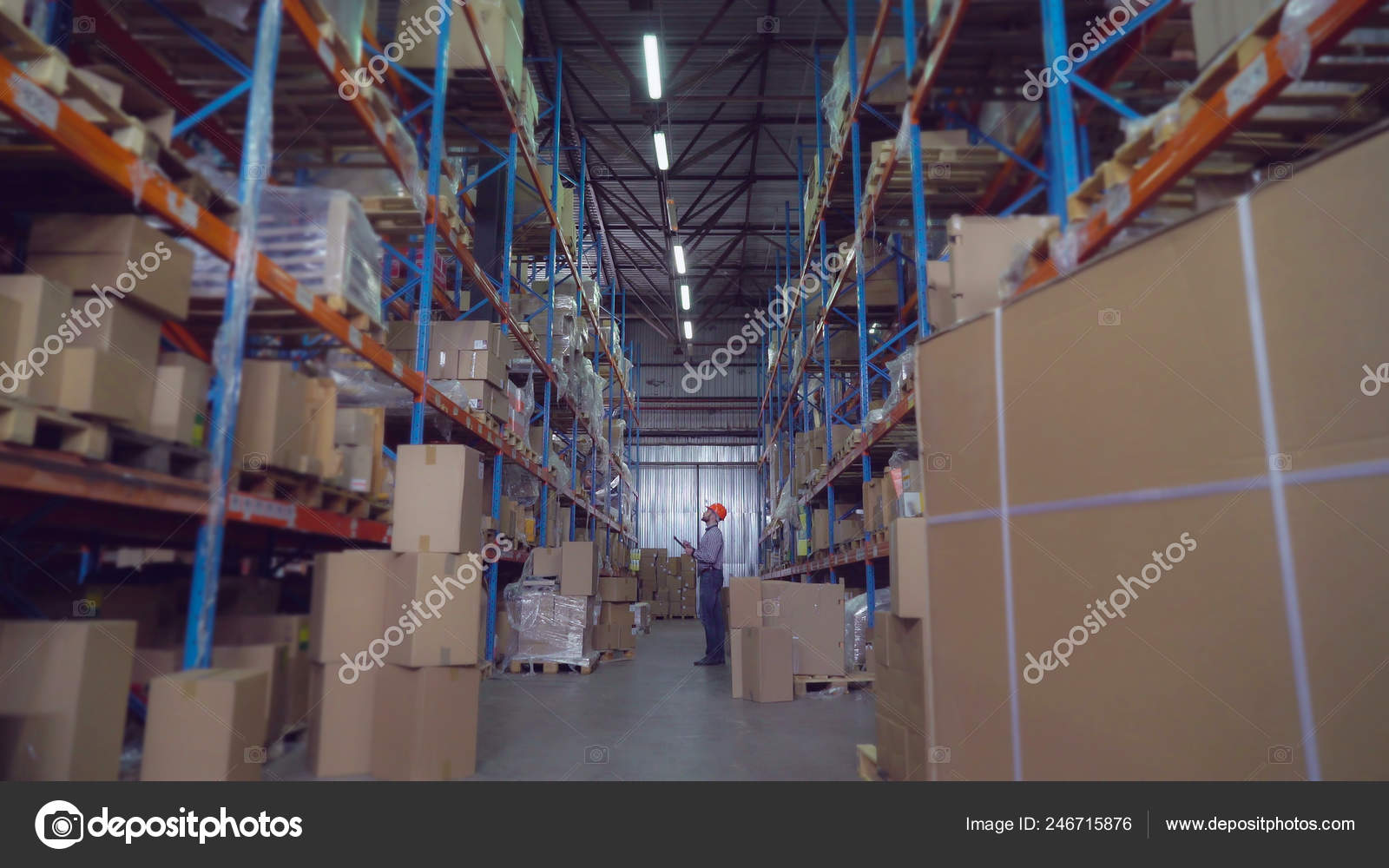 Manager at work in warehouse checking stock — Stock Photo © loginovVados #246715876