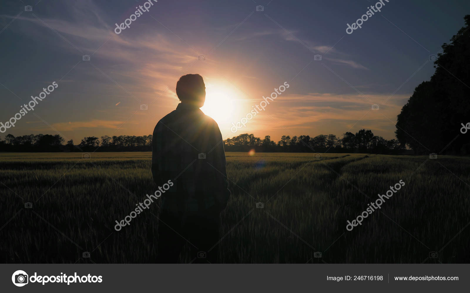 Men stands in the field. Stock Photo by ©loginovVados 246716198