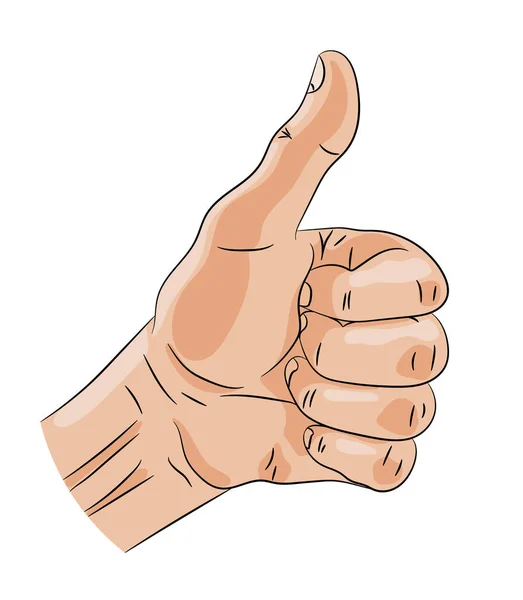 Hand with Thumb Finger Up, Victory and O.K. Symbol Hands. Vector ...