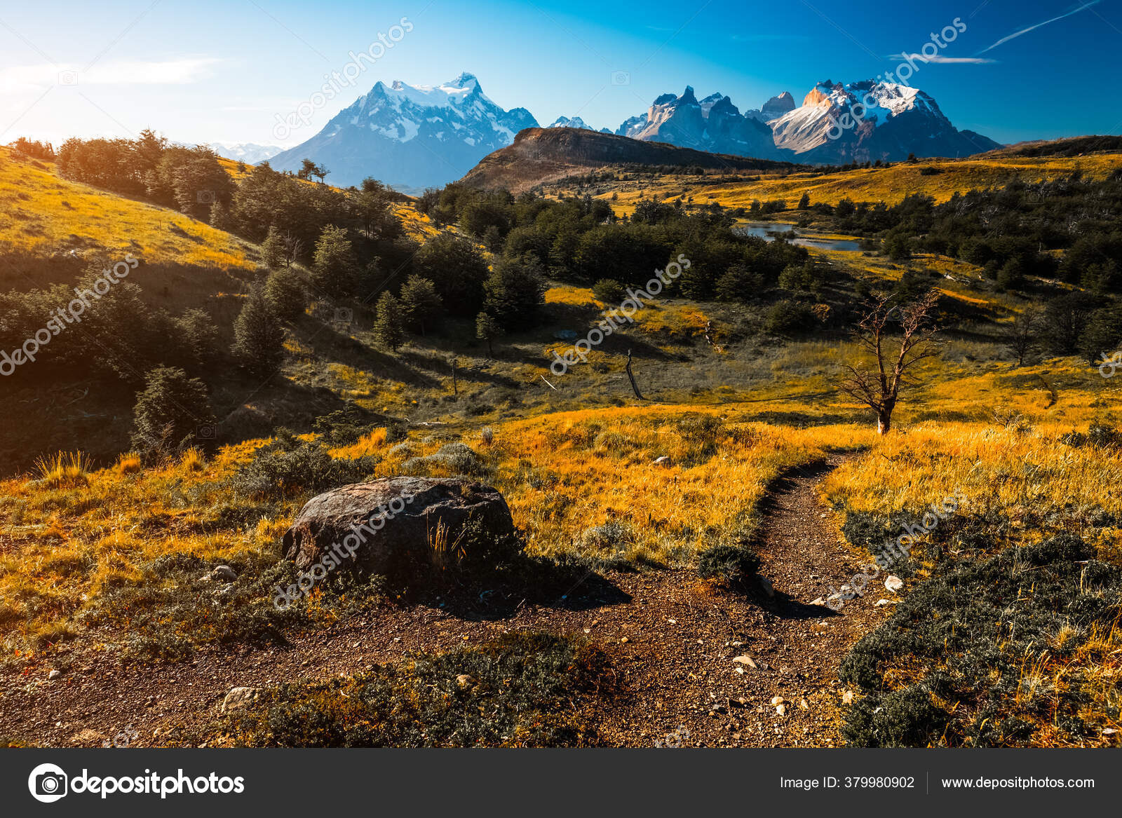 Mountains Yellow Meadows Trail Torres Del Paine National Park Chile ...