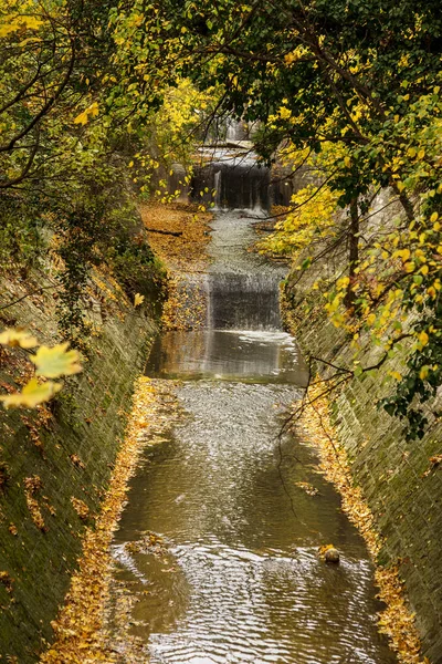 Waste in nature Images - Search Images on Everypixel