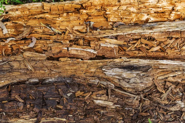 Donkere Houtstructuur Achtergrond Achtergrond Van Natuurlijke Textuur ...