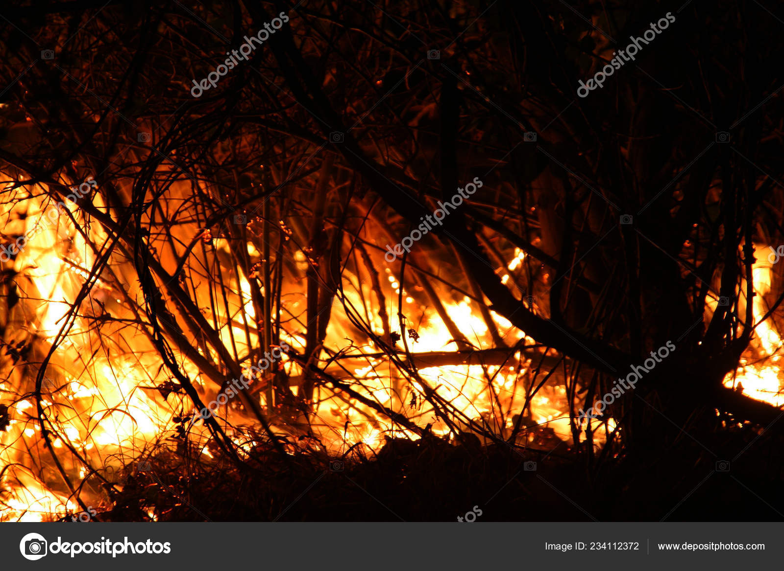 Forest Fire Fallen Tree Burnt Ground Lot Smoke Vildfire Fire Stock ...
