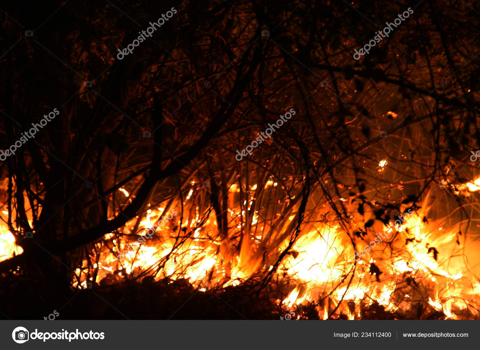 Forest Fire Fallen Tree Burnt Ground Lot Smoke Vildfire Fire Stock ...