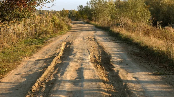 Camino de tierra rural en el bosque. Paisaje rural ruso con un camino ...