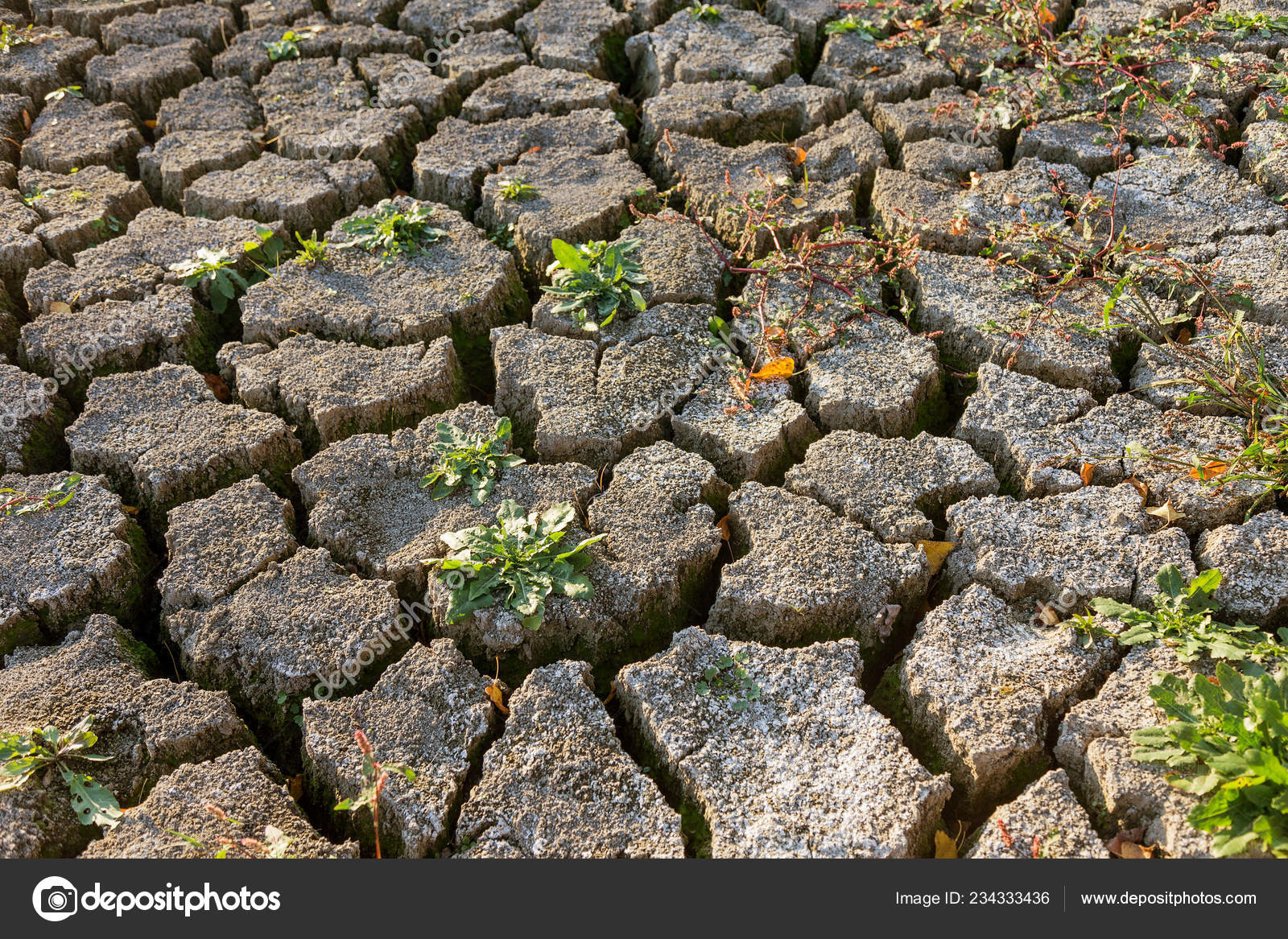 Bad Land Dry Cracked Background Cracks Soil Cracks Reduced Texture ...