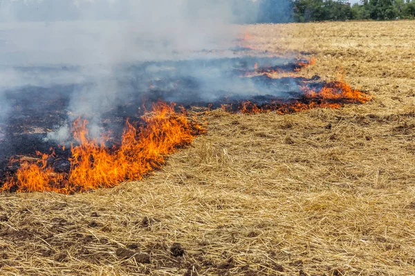 Quema de cultivos fotos de stock, imágenes de Quema de cultivos sin ...