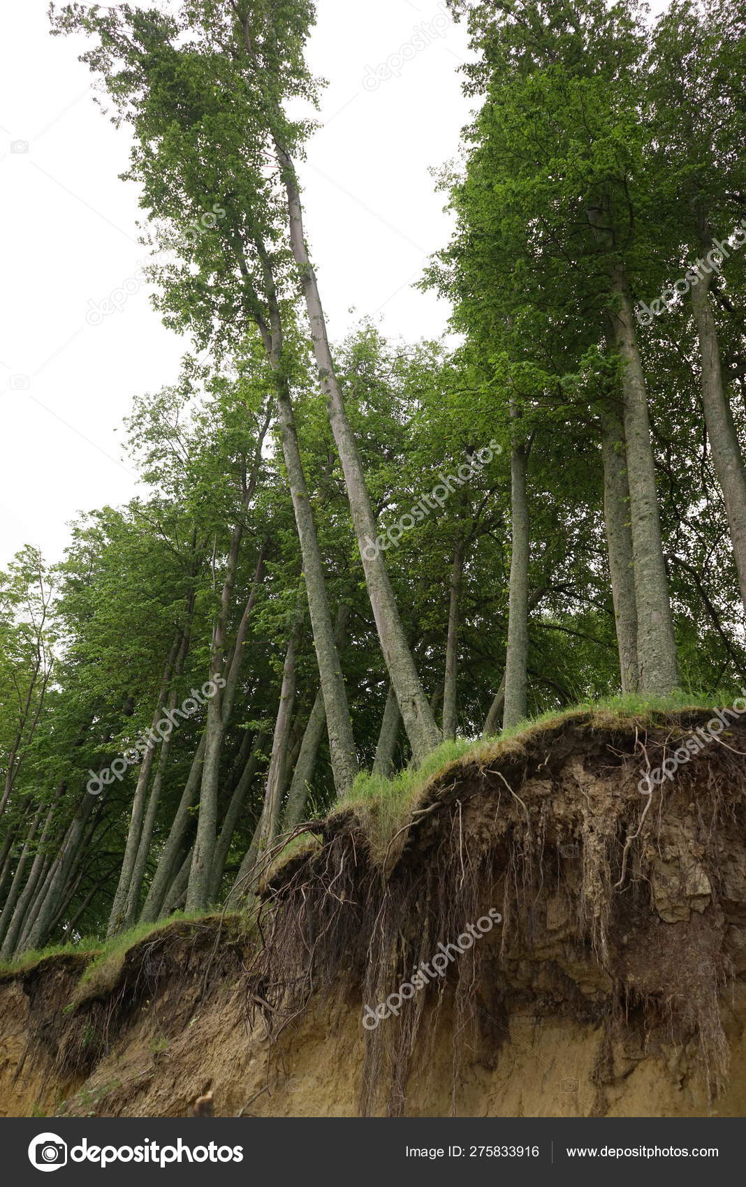 Slide Soil Erosion Stock Photo by ©Supertrooper 275833916