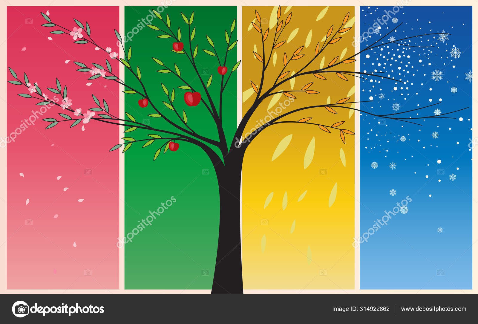 Winter Spring Summer Fall Trees