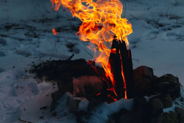 Bonfire in the winter forest with snow on the background - Stock Image ...