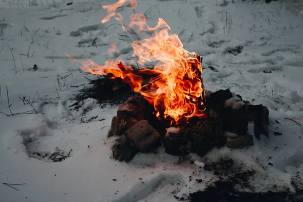 Bonfire in the winter forest with snow on the background - Stock Image ...