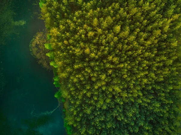 Top down view Stock Photos, Royalty Free Top down view Images ...