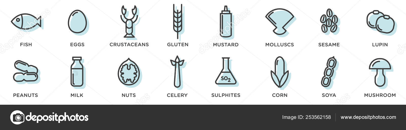 Food allergy icons. Basic allergens and diet line icons vector Stock ...