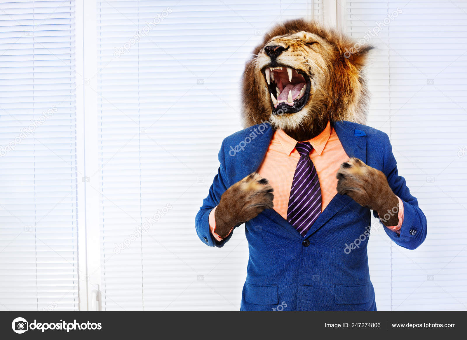 Furious Angry Man Head Lion Roar Wearing Formal Suit Office Stock Photo ...