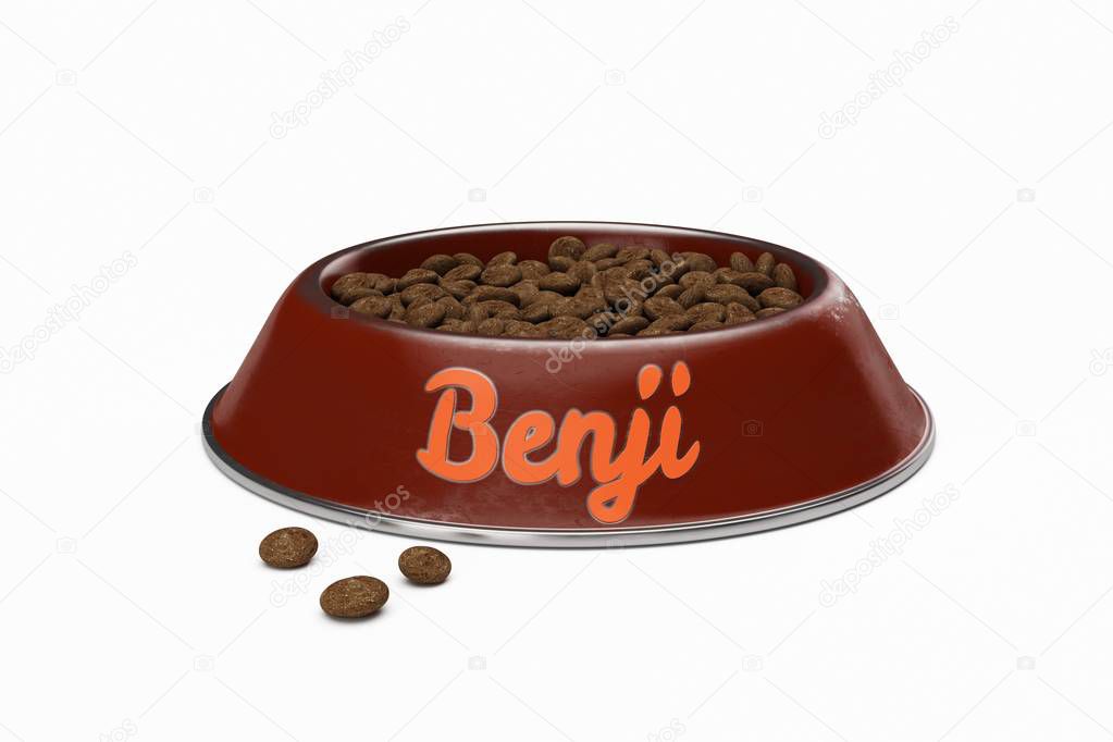 perrito bowl con nombre BENJI de perro aislado en blanco 2022