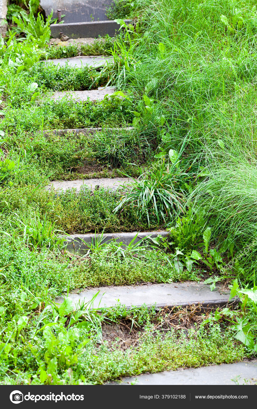Old Improvised Steps Hill Forest Photo Close Side View — Stock Photo ...