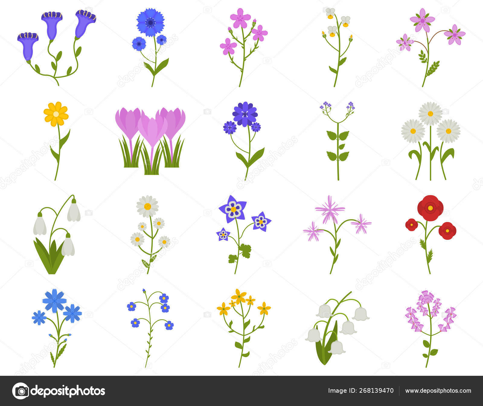 Wildflower icon set in flat style, Coronaries, cornflower, chamomile ...