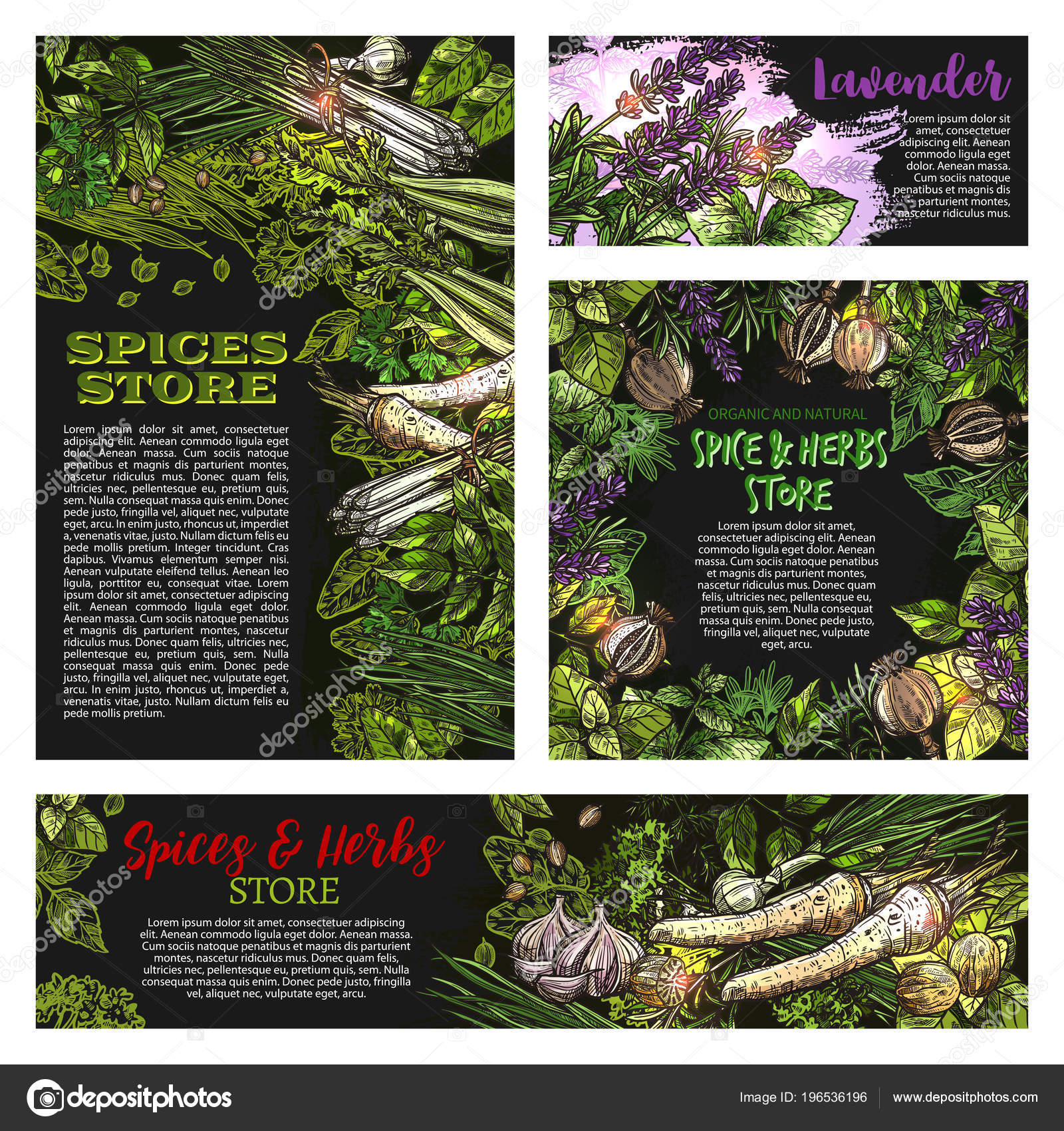 Spices and herbs vetctor store sketch posters Stock Vector Image by ...