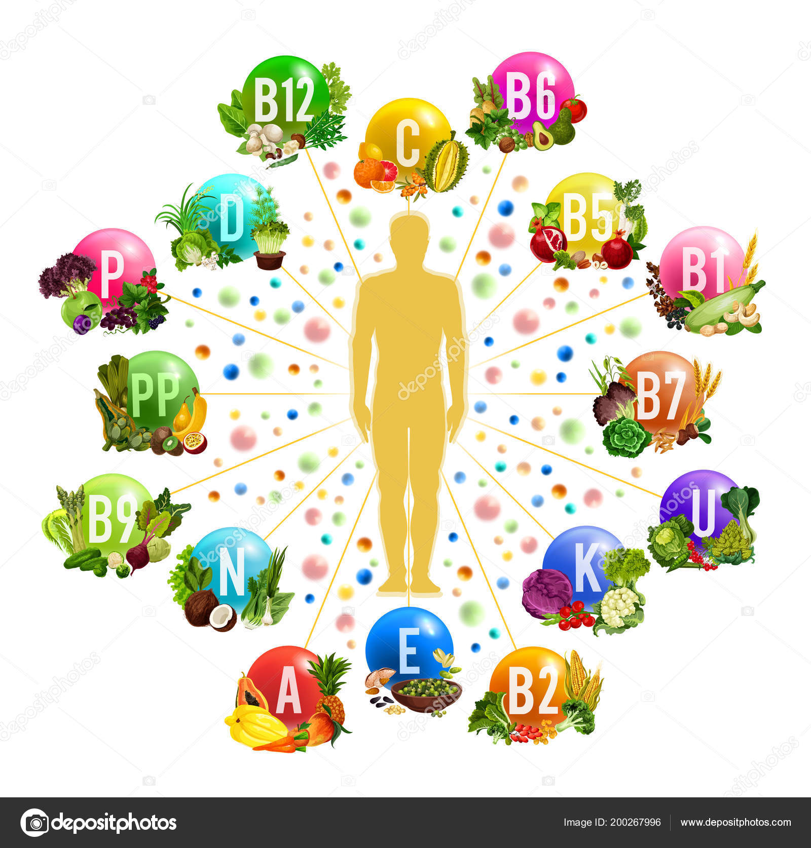 Vitamins And Minerals Poster