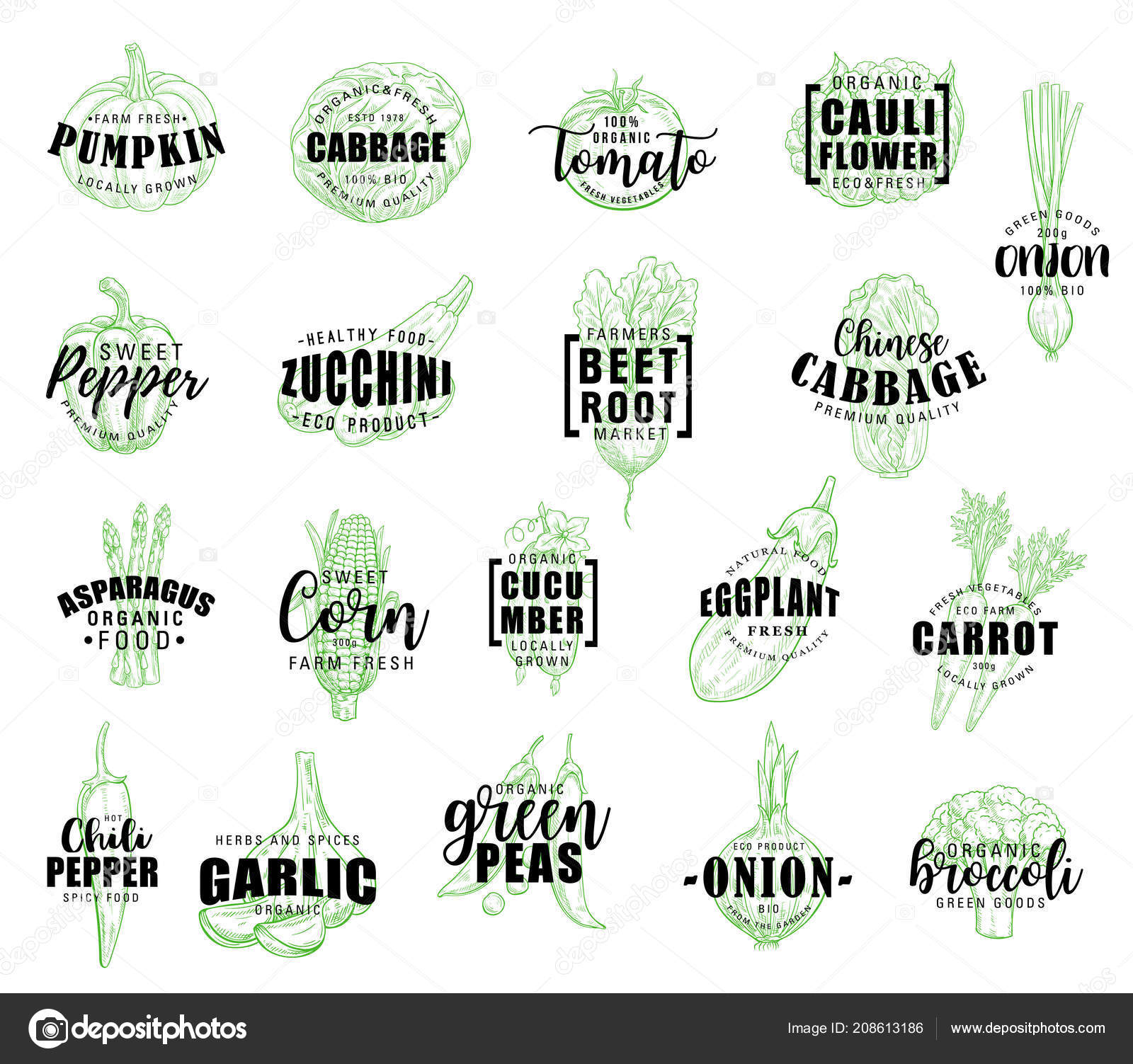 Vegetable hand drawn lettering with veggies sketch Stock Vector Image ...