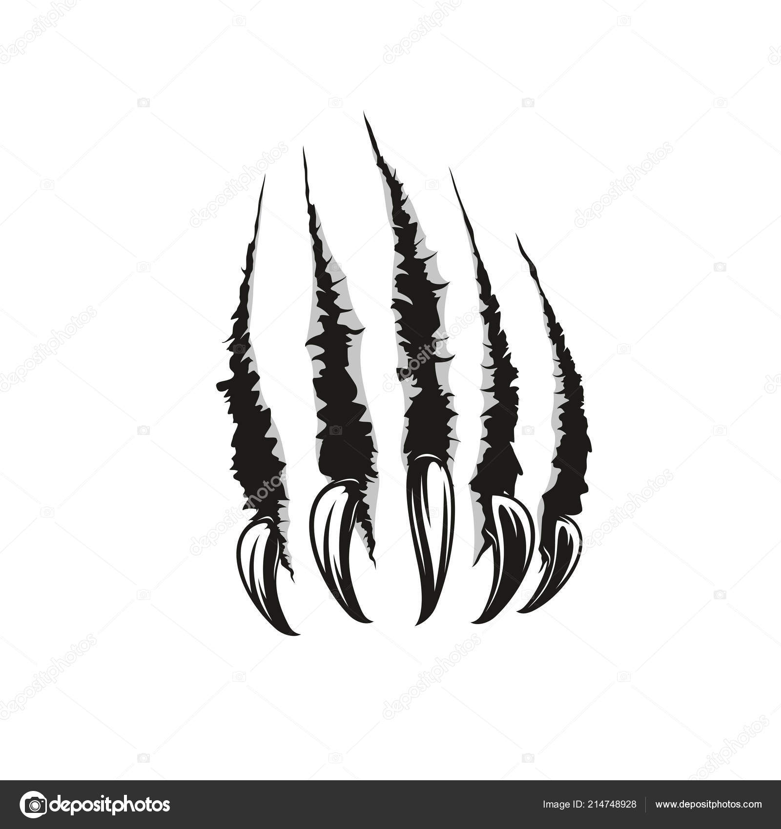 Wild animal claw vector scratches Stock Vector Image by ©Seamartini ...