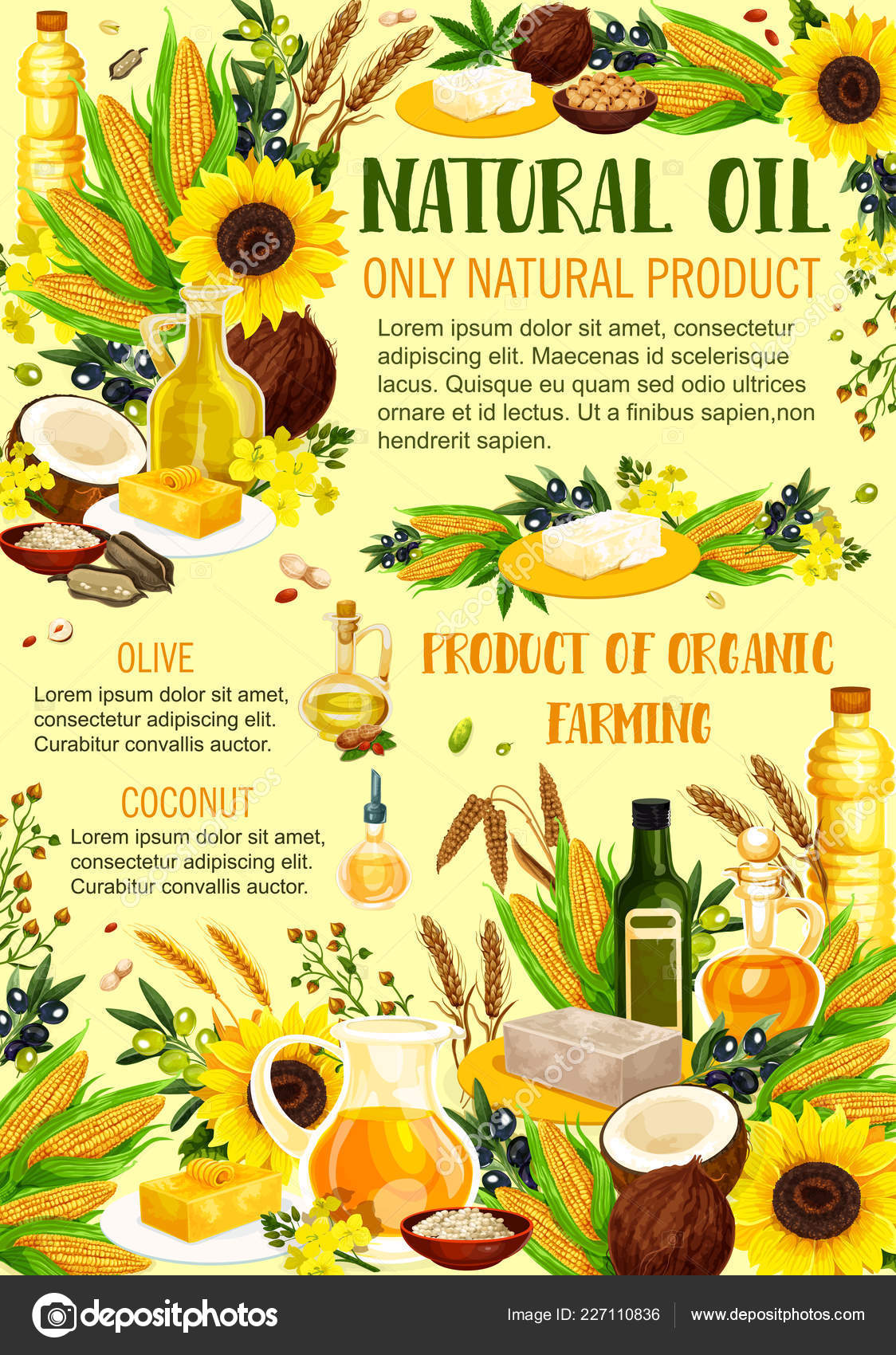 Organic vegetable oils products, vector Stock Vector Image by ...