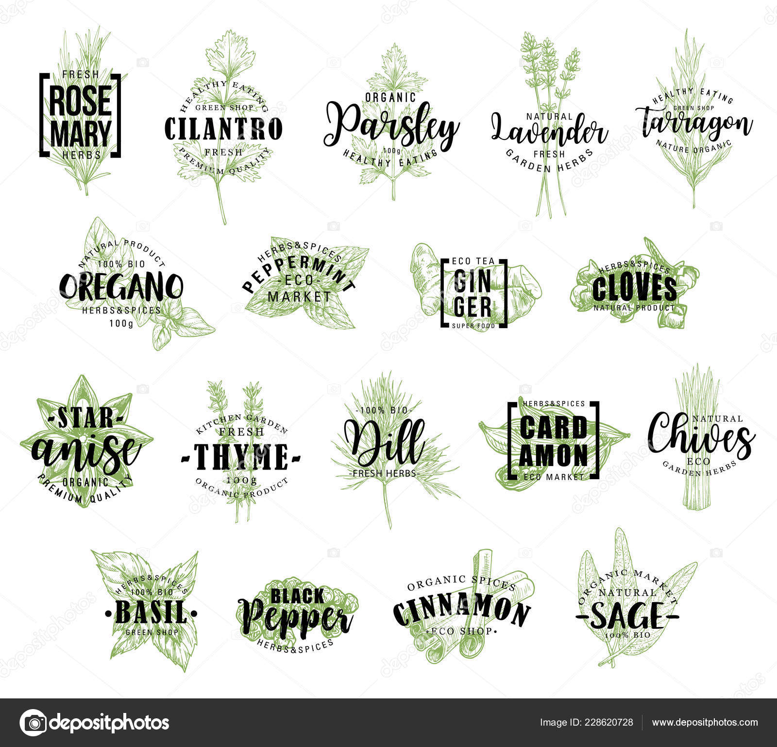 Herb and spice icons with lettering, vector — Stock Vector © Seamartini ...