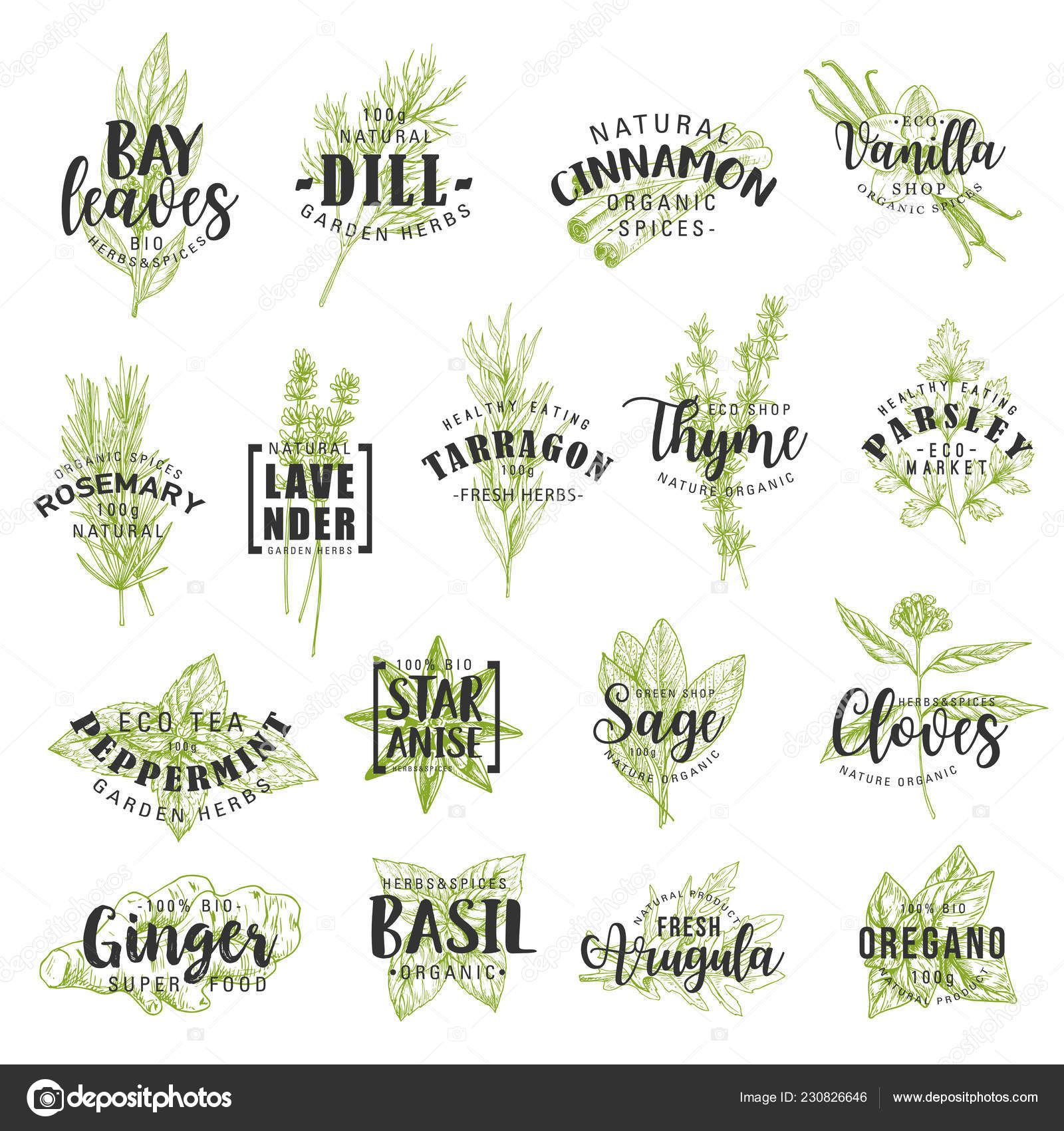 Hierbas, especias, condimentos y condimentos Vector de stock #230826646 ...