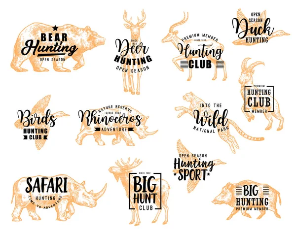 Hunting lettering icons, hunt animals and ammo Stock Vector Image by ...