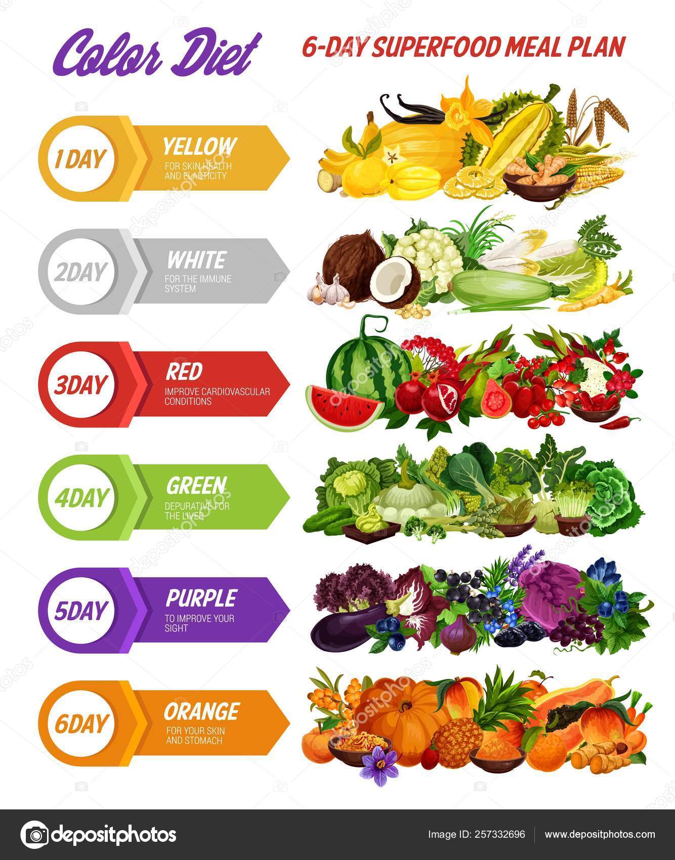 Color diet vegetables, fruits, spices and herbs Stock Vector Image by ...