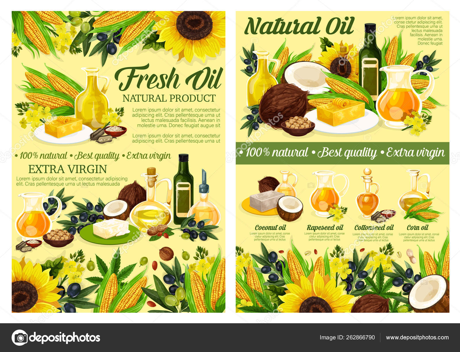 Natural cooking oils, organic vegetable oil Stock Vector Image by ...