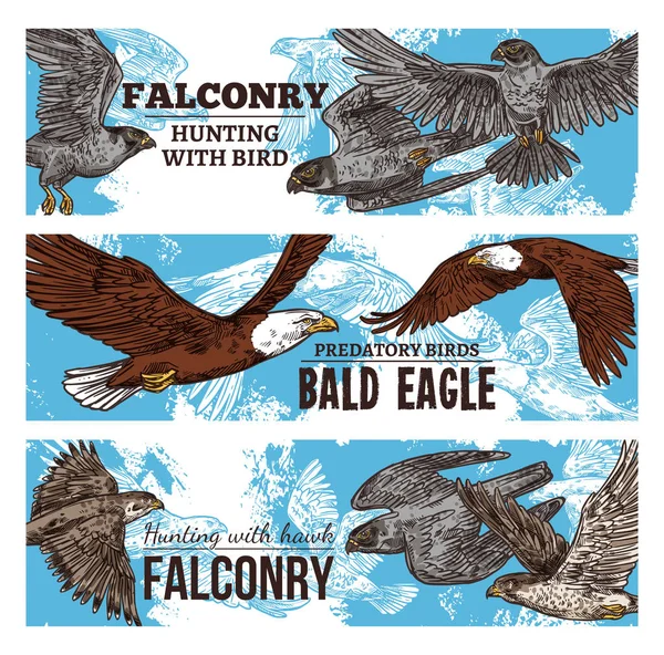 Predatory birds, sketch eagle or falcon Stock Vector Image by ...