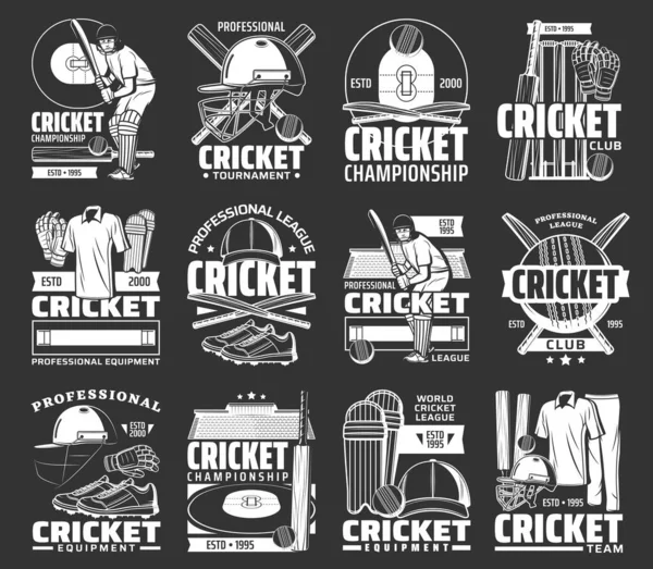 100,000 Cricket background Vector Images | Depositphotos