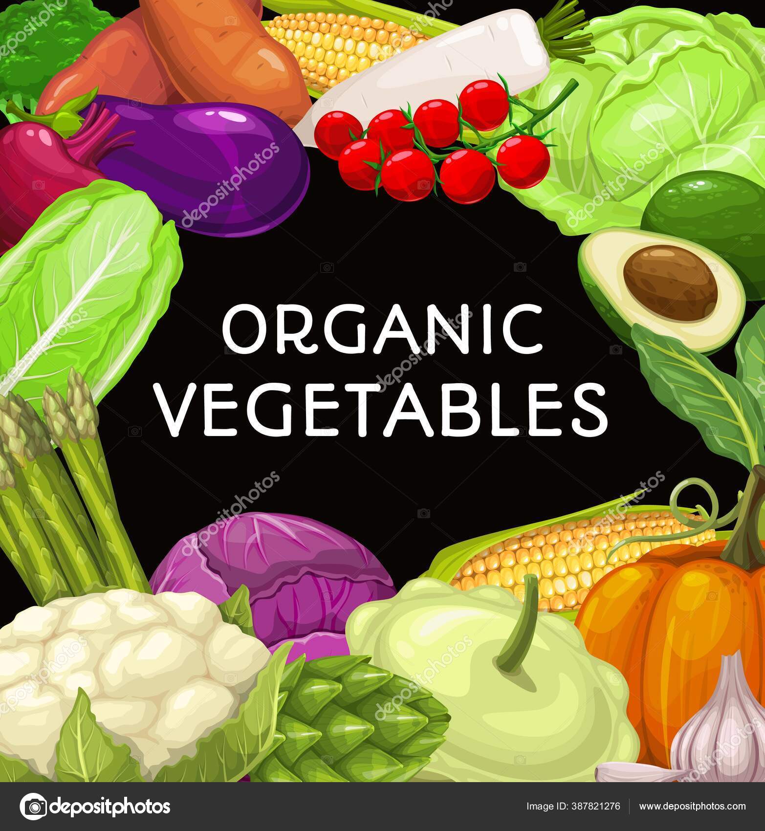 Farm Vegetables Food Vector Frame Broccoli Cauliflower Yam Eggplant ...