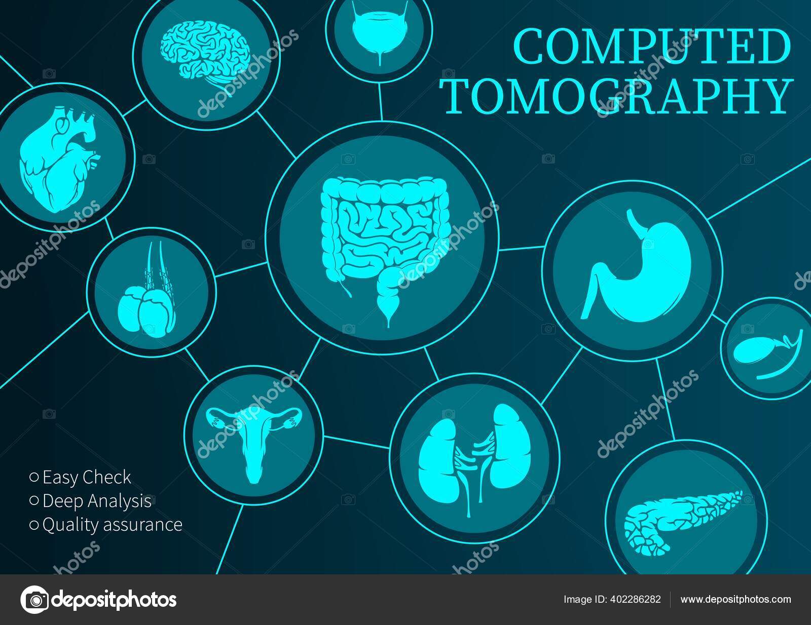 Tietokonetomografia Lääketiede Vektorin Mri Diagnostiikka Sisäelinten ...