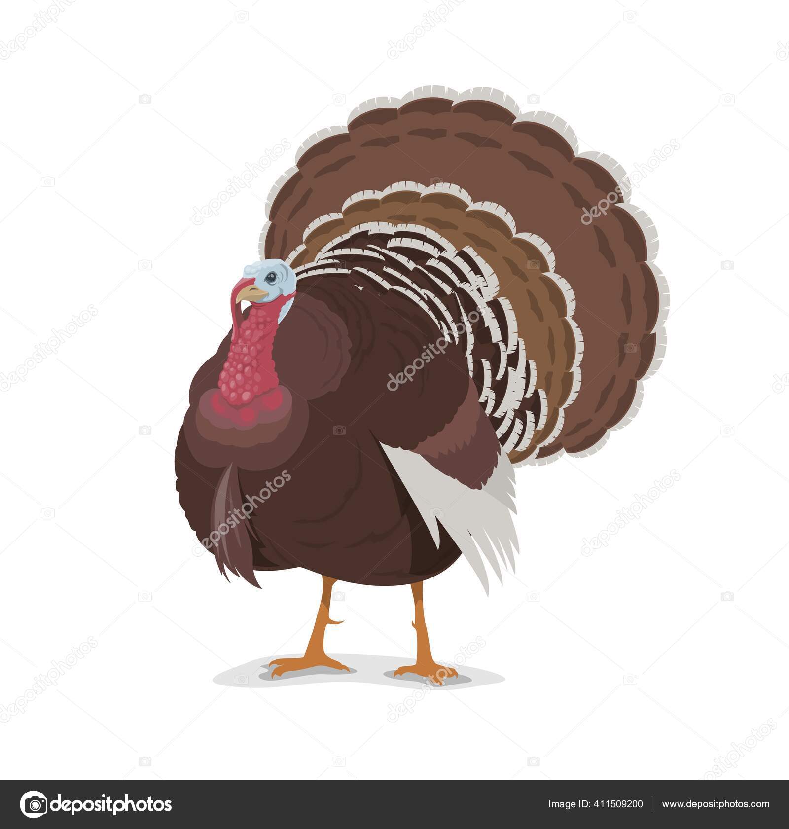 Truthahn Vogel Symbol Png