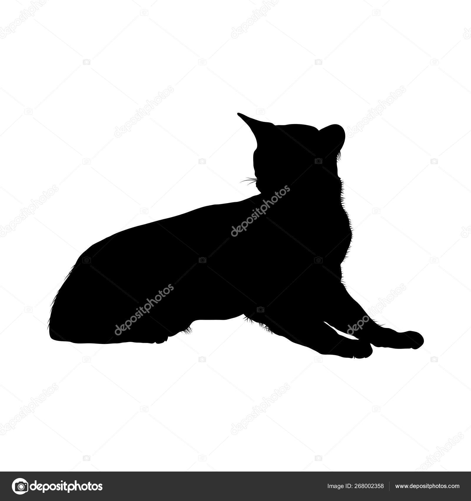 Silueta De Gato Vector De Stock Por ©angelp 268002358