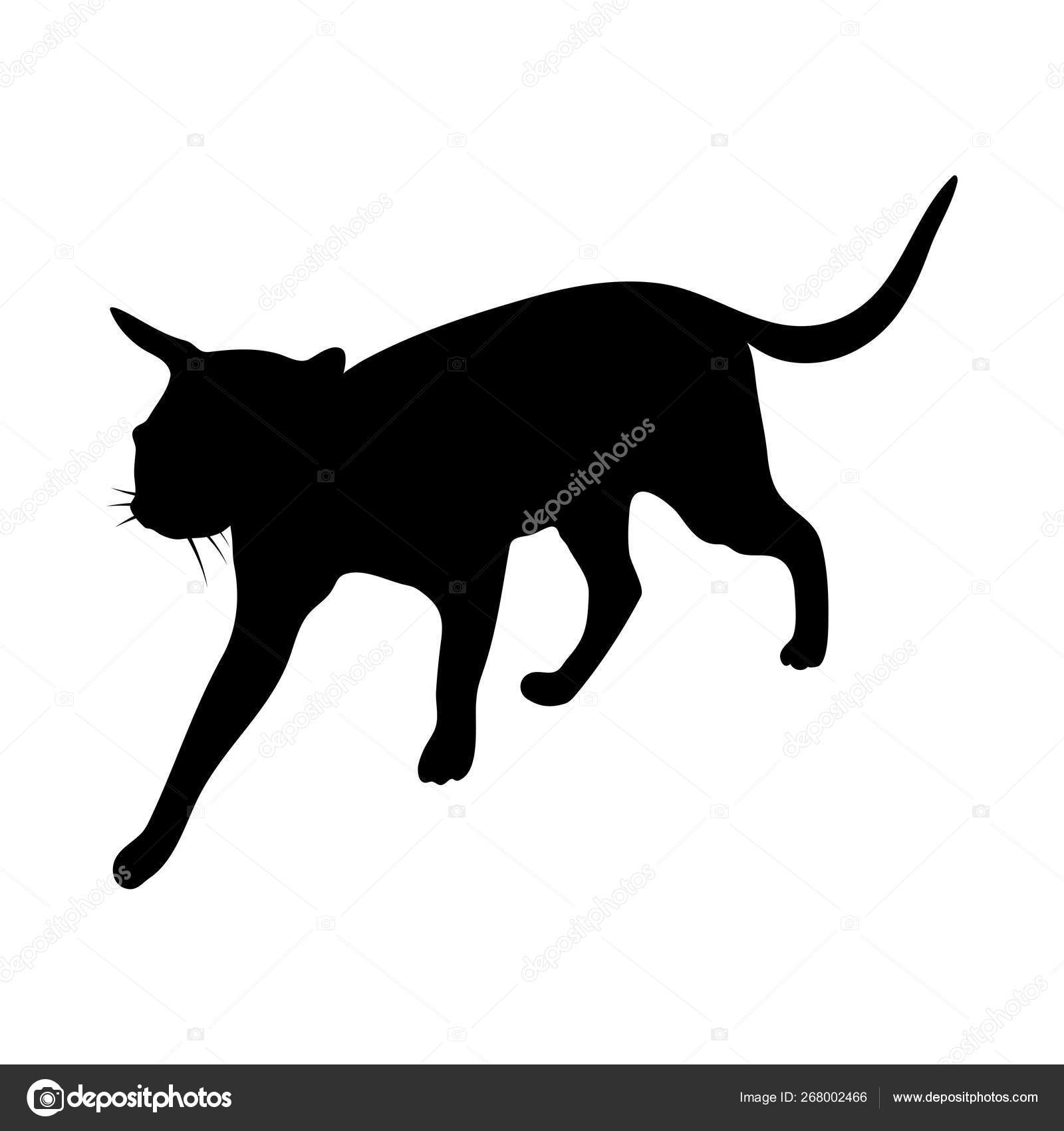 Cat Silhouette Stock Vector By ©angelp 268002466