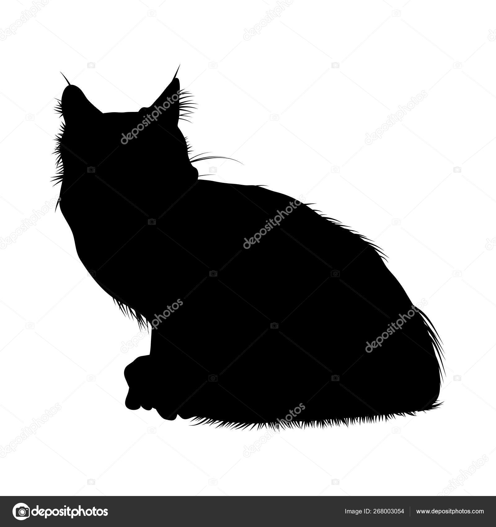 Cat Silhouette Stock Vector By ©angelp 268003054