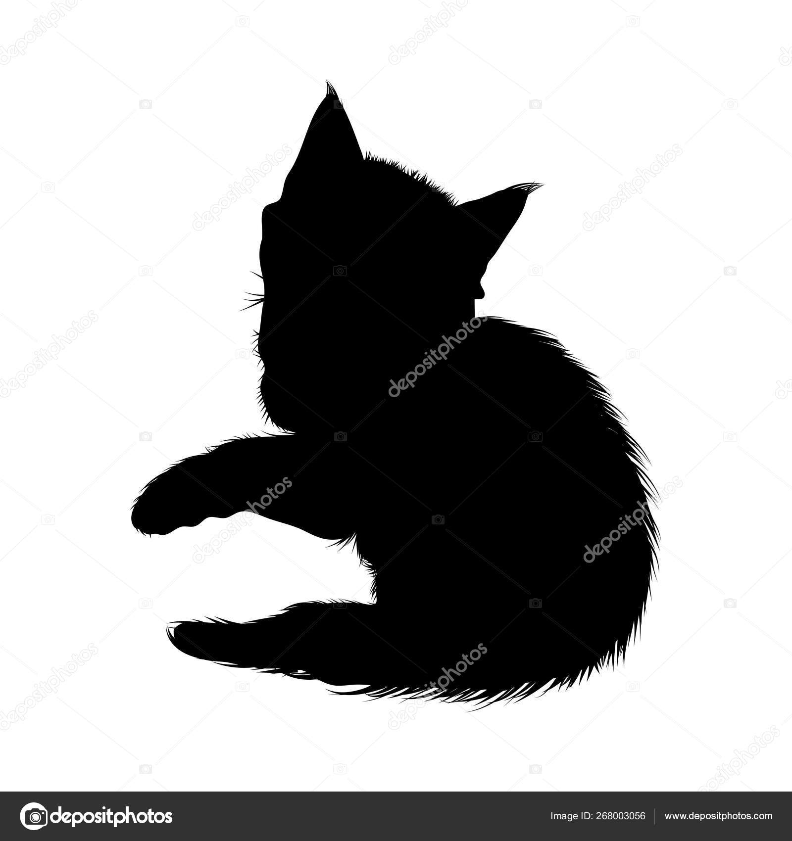 Cat Silhouette Stock Vector Image By ©angelp 268003056