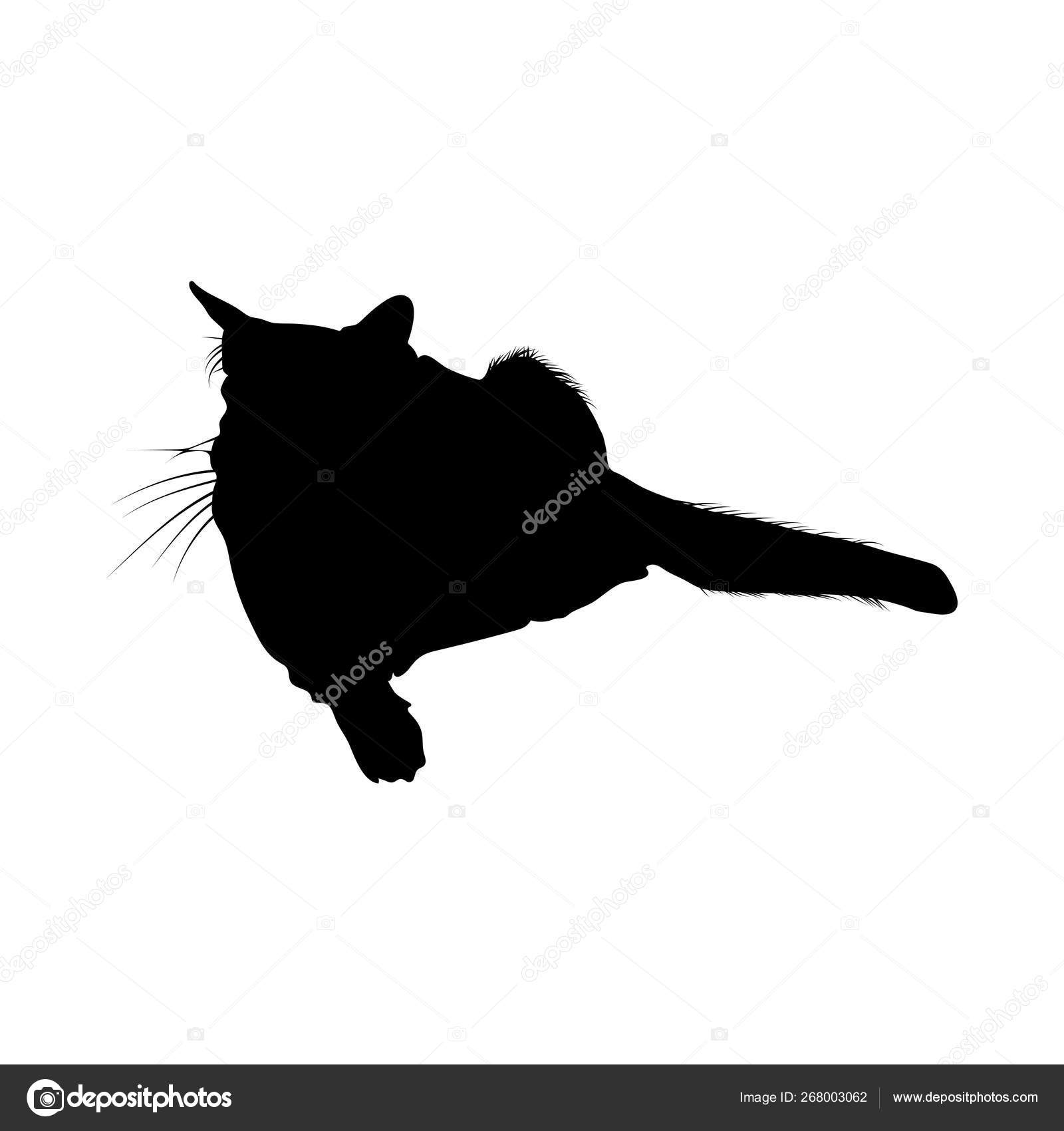 Cat Silhouette Stock Vector Image By ©angelp 268003062