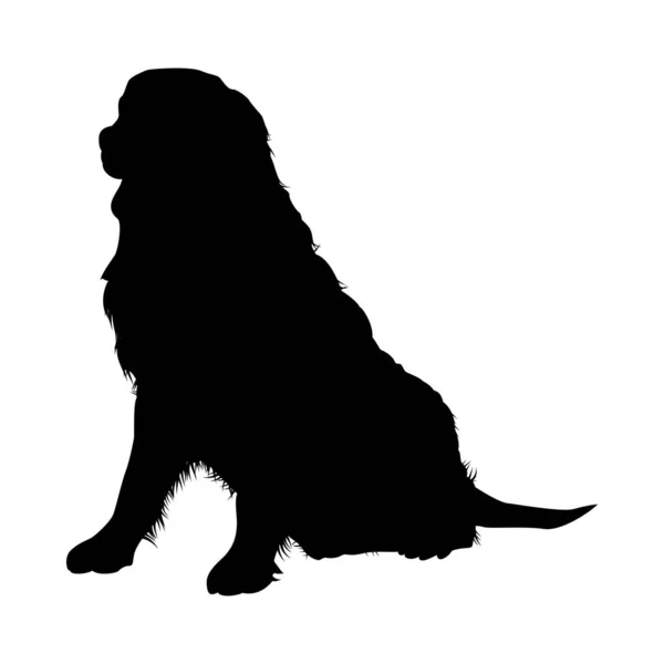 Kat Silhouetten Set Vectorafbeelding Door © Angelp ⬇ Vectorstock 3657728