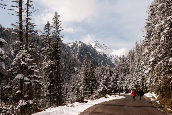 tourists walking along the snowy road. Winter is cold, trees covered ...