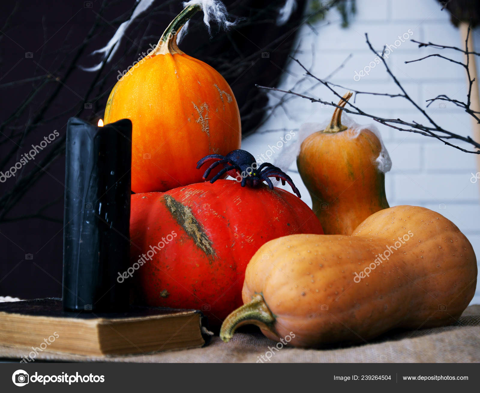 Halloween Still Life Pumpkins Studio Shot — Stock Photo © mallivan ...