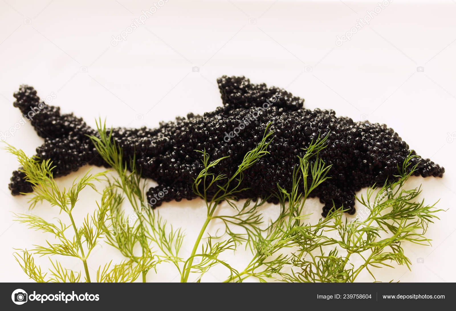 Black Caviar Form Fish — Stock Photo © mallivan #239758604