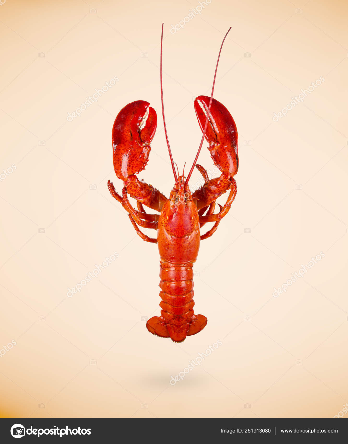 Boiled red lobster isolated on beige background Stock Photo by ©Kesu01 ...