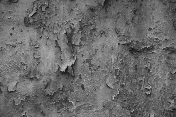 Crackled texture Stock Photos, Royalty Free Crackled texture Images ...