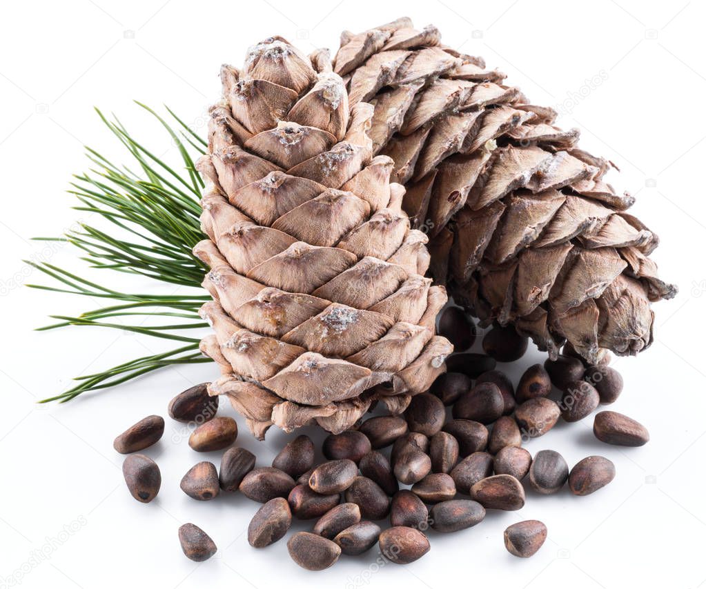 Conos de piñones y piñones en el fondo blanco. Alimentos ecológicos. 2024